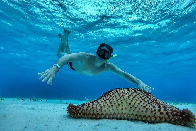 El Cielo Cozumel, a paradisiacal tour. Be amazed by the stars near to you. - Authentic Marine Encounters and Local Flavor