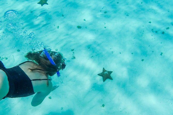 El Cielo Cozumel, a paradisiacal tour. Be amazed by the stars near to you. - Who Is This Tour Best For?