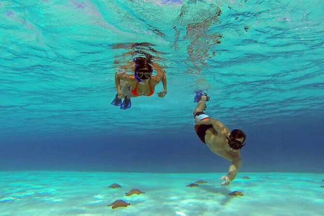 El cielo Cozumel From Cancún and round Transfer with Lunch - The Reef Stops and Snorkeling