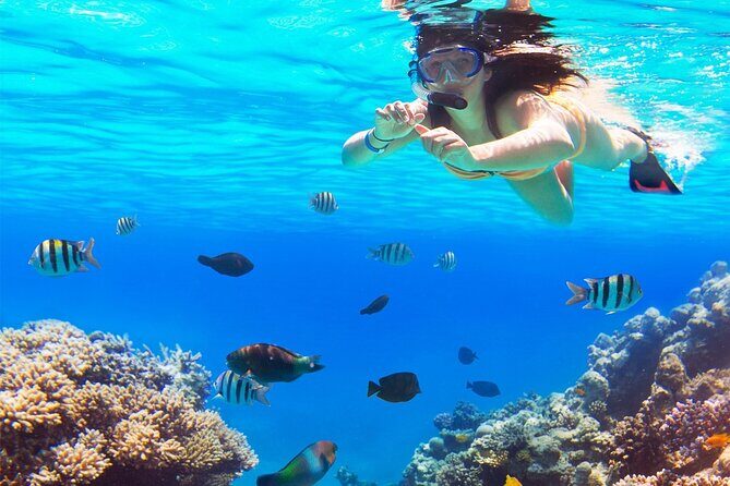 El cielo Cozumel From Cancún and round Transfer with Lunch - Free Time to Explore Cozumel