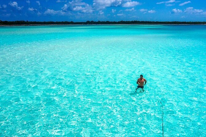 El cielo Cozumel From Cancún and round Transfer with Lunch - Price and Value