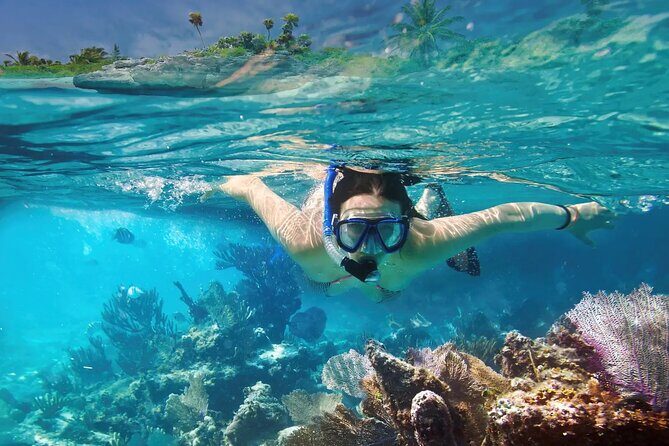 El cielo Cozumel From Cancún and round Transfer with Lunch - Who Will Love This Tour?