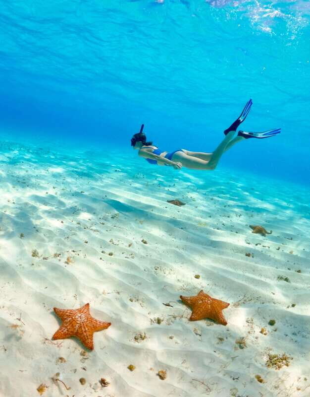 El Cielo Cozumel private snorkel tour - Key Points