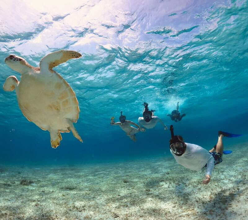 El Cielo Cozumel private snorkel tour - An In-Depth Look at the Tour Experience