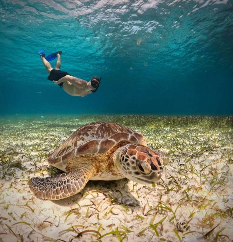 El Cielo Cozumel private snorkel tour - Final Thoughts: Who Will Love This Tour?