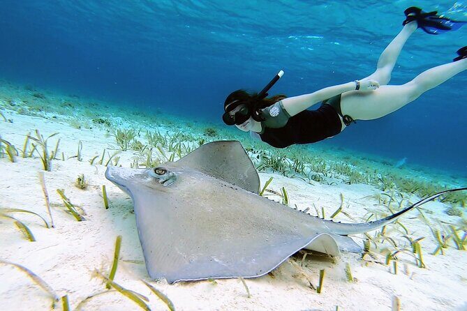 El Cielo Cozumel Snorkeling by Private Boat - Key Points