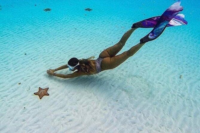 El Cielo Cozumel Snorkeling Tour - All-Inclusive - What Makes This Tour Stand Out?