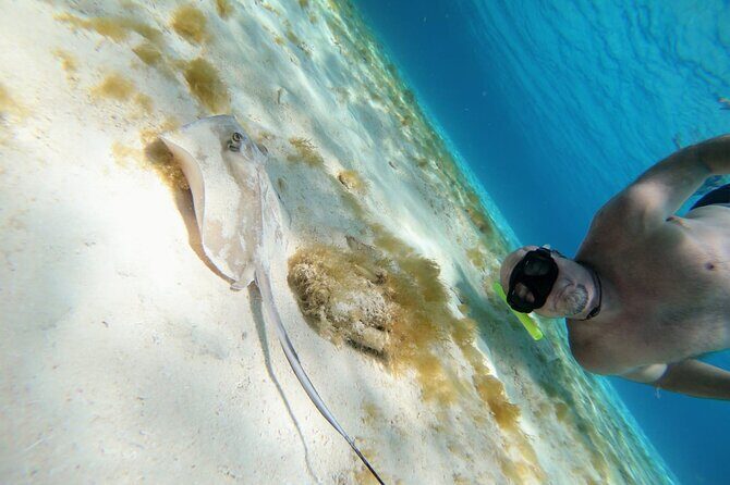 El Cielo Cozumel Snorkeling trip by Catamaran - Who Should Book This Tour?