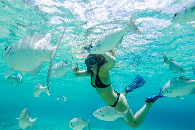 El Cielo Snorkel by Private Boat - Practical Details and Tips