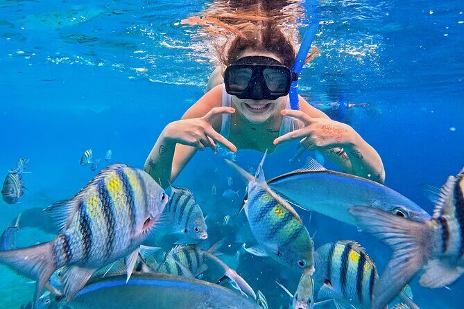 El Cielo Snorkeling Tour and The Top Reefs of Cozumel - Key Points