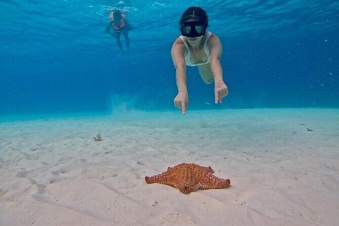 El Cielo Snorkeling Tour and The Top Reefs of Cozumel - The Itinerary in Detail