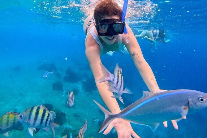 El Cielo Snorkeling Tour and The Top Reefs of Cozumel - The Marine Environment and Experience Quality