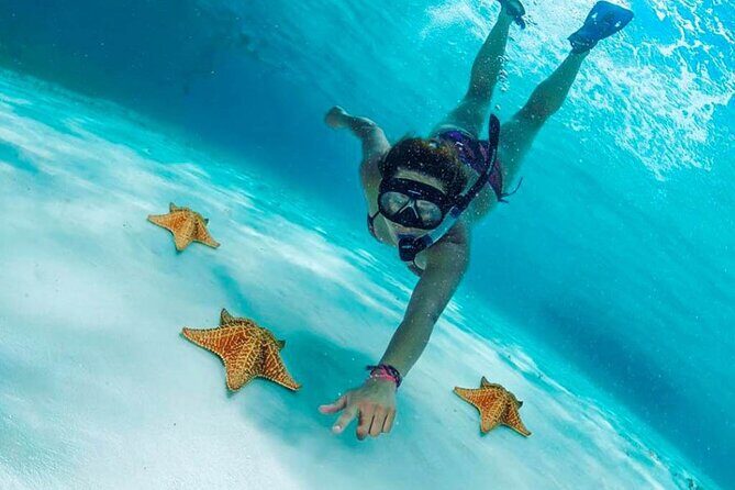 El Cielo the Breathtaking Snorkel Tour of Cozumel Cielito Beach & Lunch Included - Authentic Experiences and Traveler Feedback