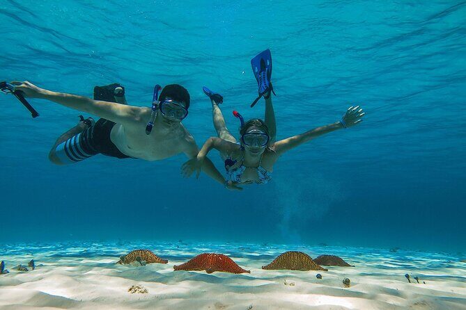 El Cielo the Breathtaking Snorkel Tour of Cozumel Cielito Beach & Lunch Included - The Sum Up