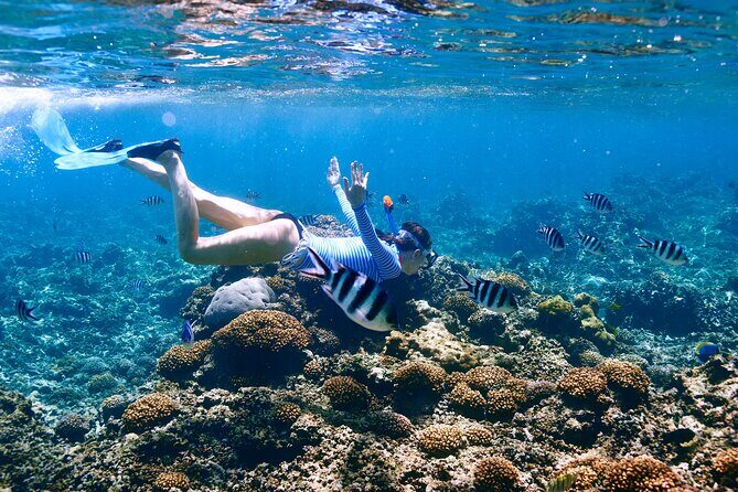 El Cielo the Breathtaking Snorkel Tour of Cozumel Cielito Beach & Lunch Included - FAQ