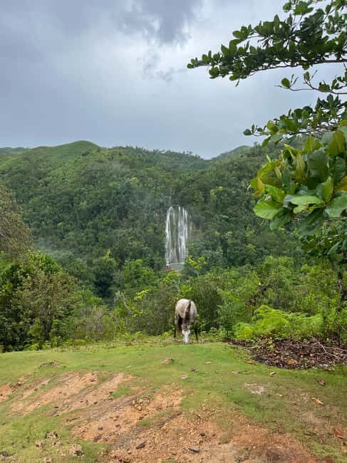 El Limon: Horse Ride Waterfall Waterfall Jump - Introduction: What’s the Tour All About?