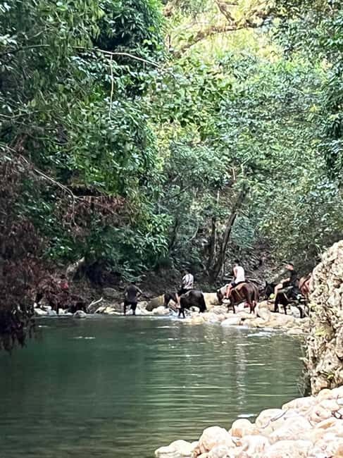 El Limon: Horse Ride Waterfall Waterfall Jump - Deep Dive into the Experience