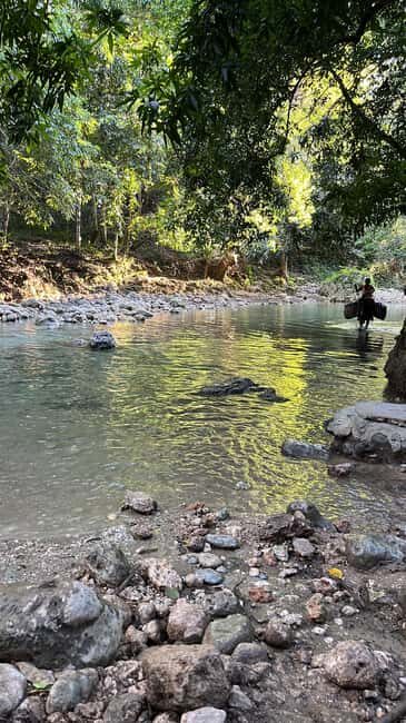El Limon: Horse Ride Waterfall Waterfall Jump - Who Would Love This Tour?