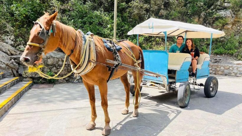 El mejor Tour a Cola de Caballo + Guía + Traslado + Tickets - What Travelers Say