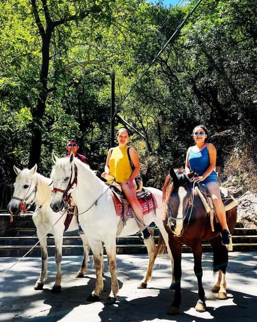 El mejor Tour a Cola de Caballo + Guía + Traslado + Tickets - Final Thoughts