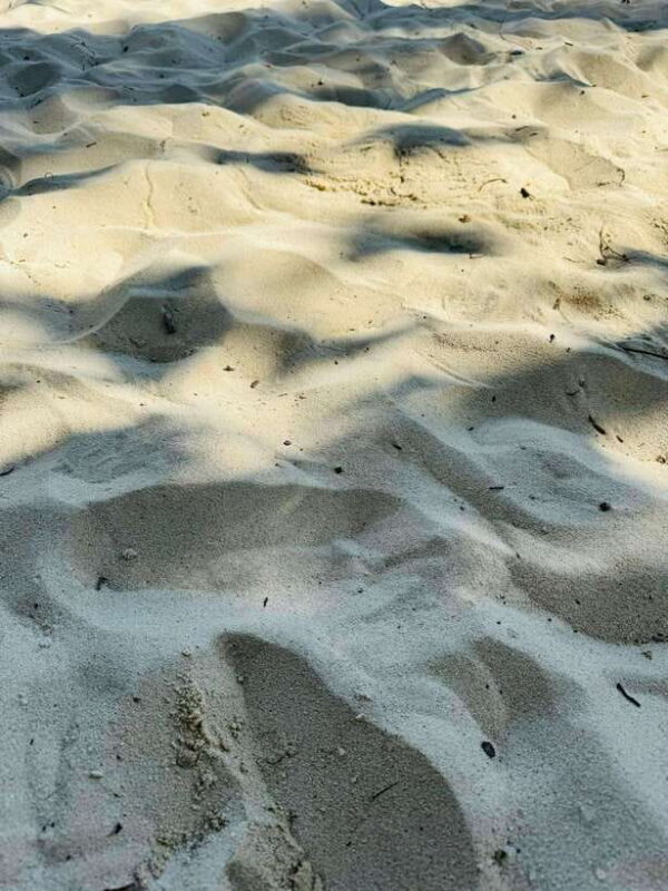 El Nido: Island Hopping TOUR A with Lunch, Transfer & EDTF - Who Should Consider This Tour?