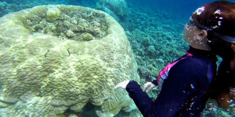 El Nido: Island Hopping Tour B Cudognong Cave & More - FAQ
