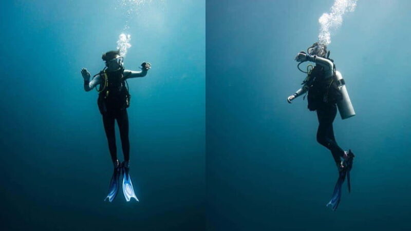 El Nido: Manta Ray Diving Experience in Sibaltan - FAQ: Your Questions Answered