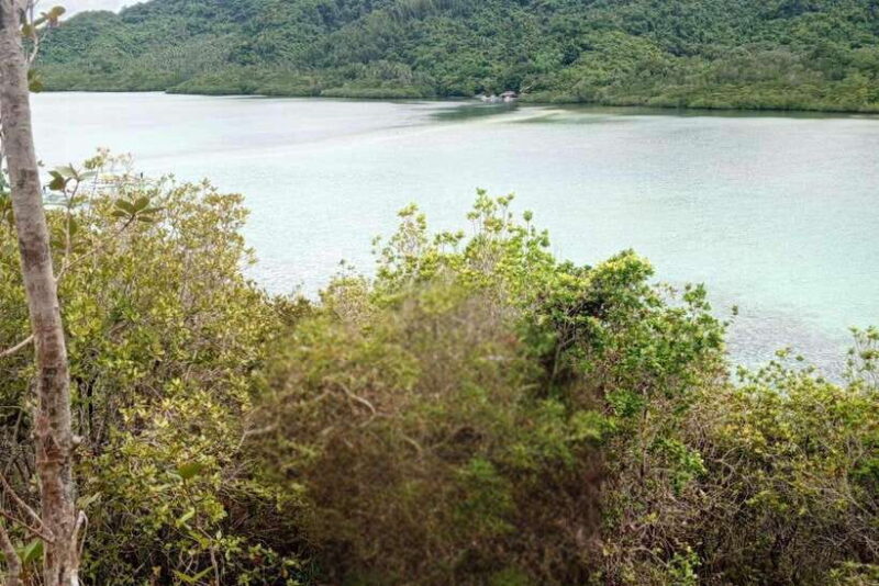 El Nido: Tour B with Snake Island, Cudugnon Cave, and More - Authenticity and Local Touches