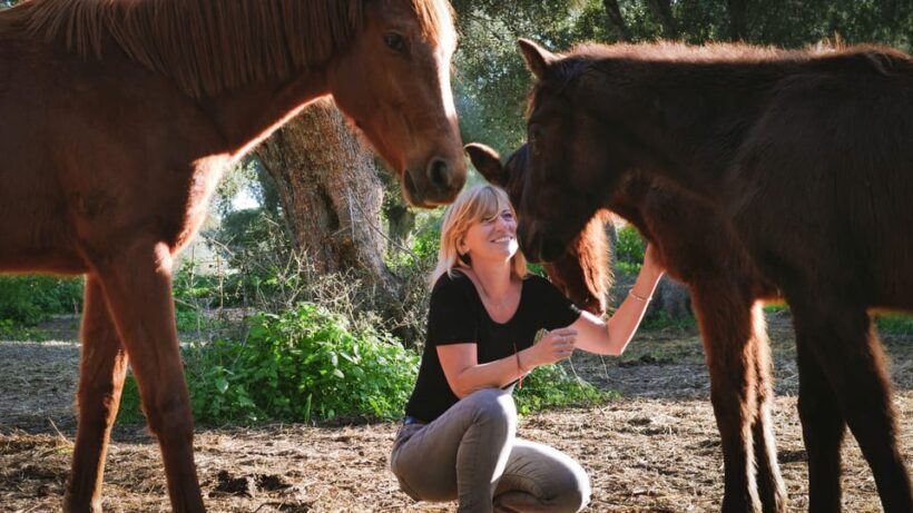 El Palmar: Reconecta gracias al Coaching con Caballos - Key Points