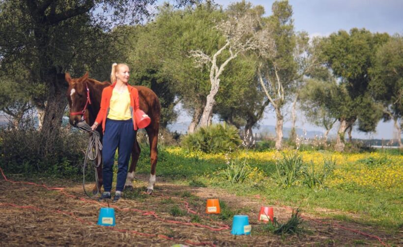 El Palmar: Reconecta gracias al Coaching con Caballos - Exploring the Experience: What’s Truly on Offer