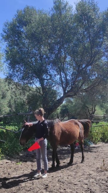 El Palmar: Reconecta gracias al Coaching con Caballos - How This Tour Stands Out