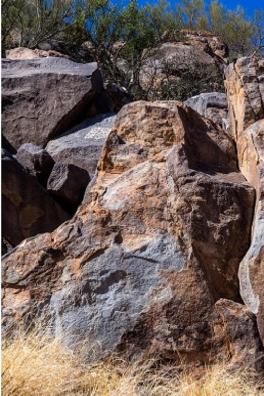 El pinacate: 4-day tour of the craters and Altar desert - The Guide Experience