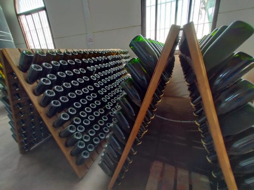 El Puerto de Santa María Winery and Tasting - The Sum Up