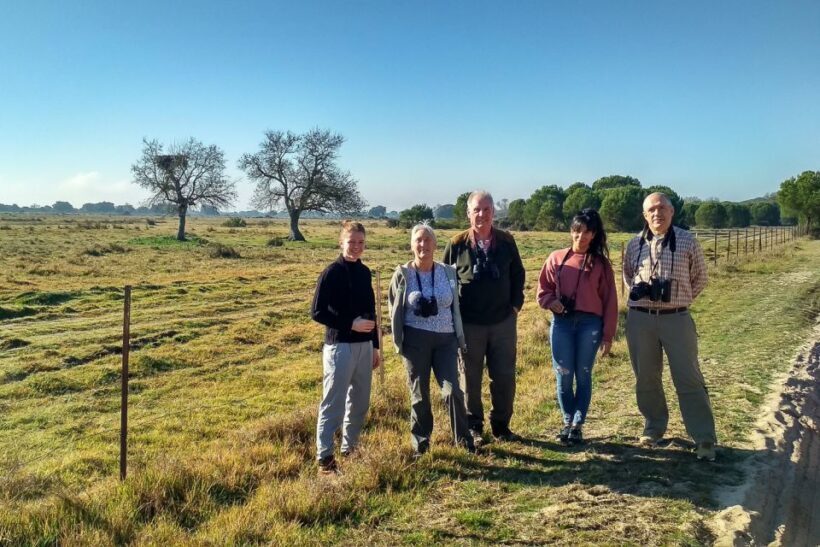El Rocío: Doñana National Park 4x4 Guided Tour - Discovering Doñana: What the Tour Offers