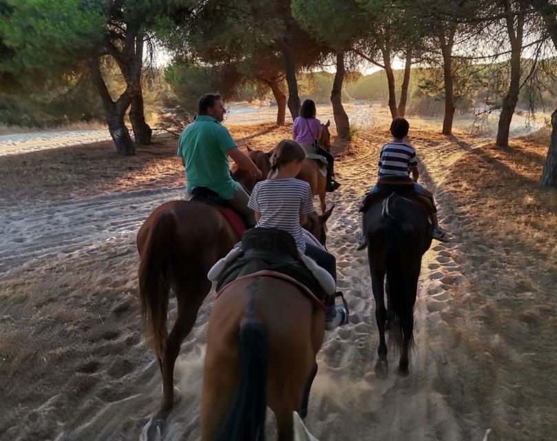 El Rocío: Doñana National Park Horseback Riding Tour - A Practical Introduction to the Experience