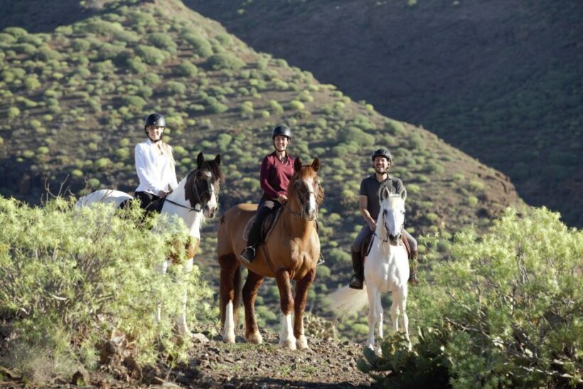 El Salobre: Horse Riding Adventure with Transfer Options - What is the Horse Riding Tour Like?