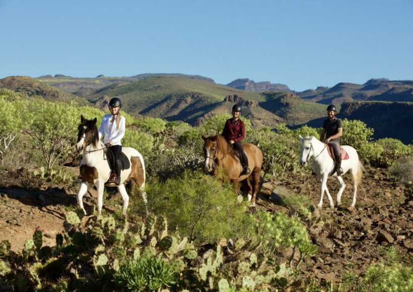El Salobre: Horse Riding Adventure with Transfer Options - The Atmosphere and Experience