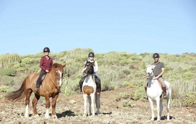 El Salobre: Horse Riding Adventure with Transfer Options - Who Should Consider This Tour?