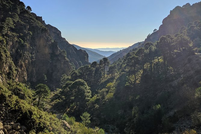 El Saltillo Gorge and White Village Hiking Tour From Malaga - Traveler Experiences and Feedback