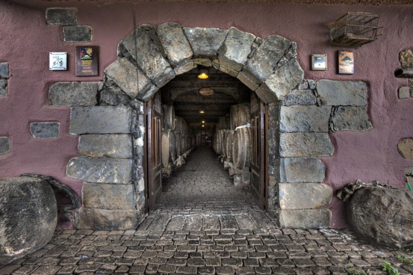 El Sauzal: Winery Tour and Mojo Sauce Workshop - Why You’ll Love This Experience