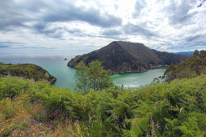 El Soplao Cave Visit With Entrance Ticket- Small Groups - What to Expect During the Tour