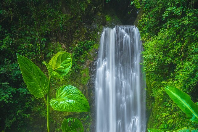 El Tigre Waterfalls Hiking Tour With Lunch and Nature Guide - Key Points