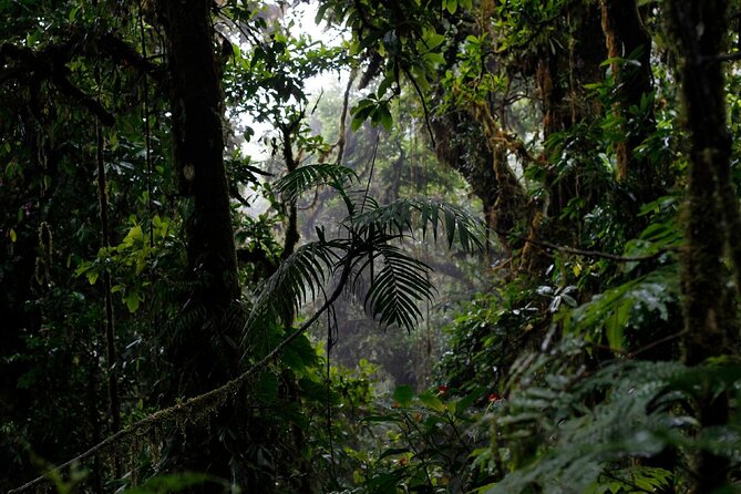 El Tigre Waterfalls Hiking Tour With Lunch and Nature Guide - Tour Inclusions and Logistics