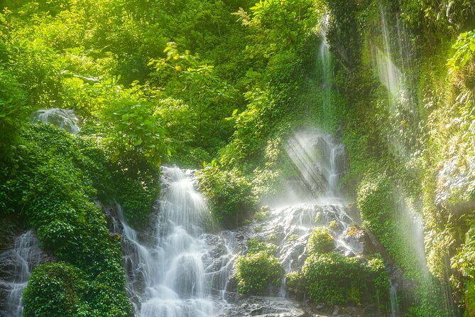 El Tigre Waterfalls Hiking Tour With Lunch and Nature Guide - Tour Experience and Activity Details