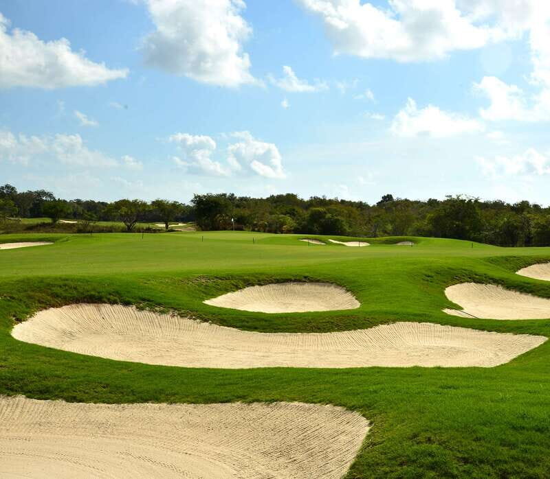 El tinto Golf Course | Tee time in Cancun - The Practicalities of Booking and Playing