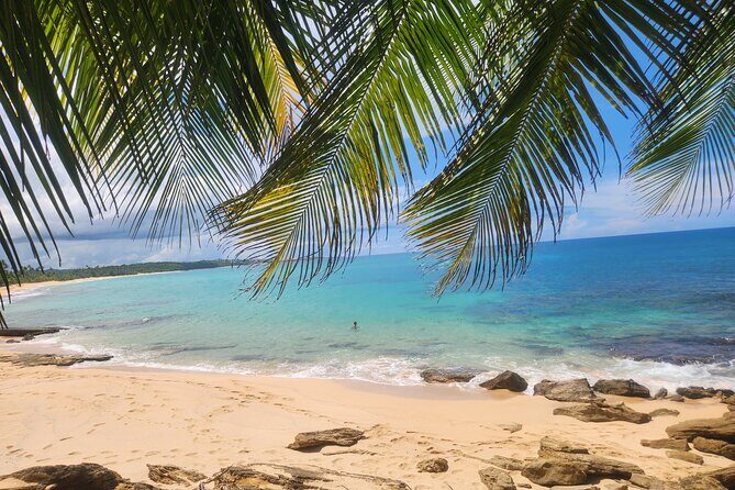 El Yunque & Beach Tour: Waterslide, Waterfall, Food, & Photos - An In-Depth Look at the El Yunque & Beach Tour