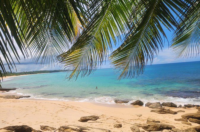 El Yunque & Beach Tour: Waterslide, Waterfall, Food, & Photos - Who Would Love This Tour?