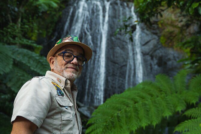 El Yunque Educational Rainforest Walk Easy and Family Friendly - Key Points