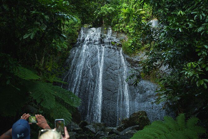 El Yunque Educational Rainforest Walk Easy and Family Friendly - Analyzing the Value