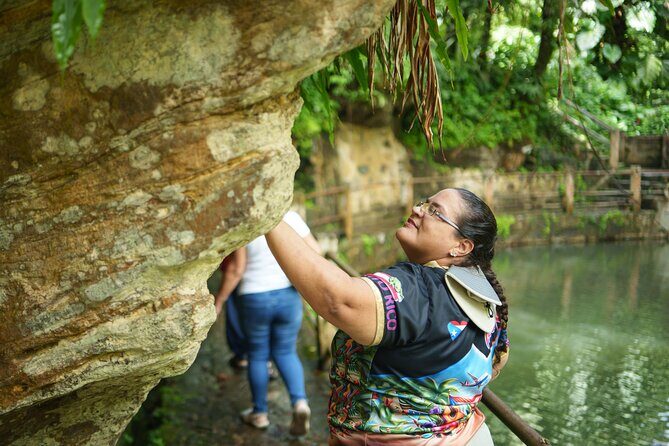 El Yunque Educational Rainforest Walk Easy and Family Friendly - Who Should Consider This Tour?